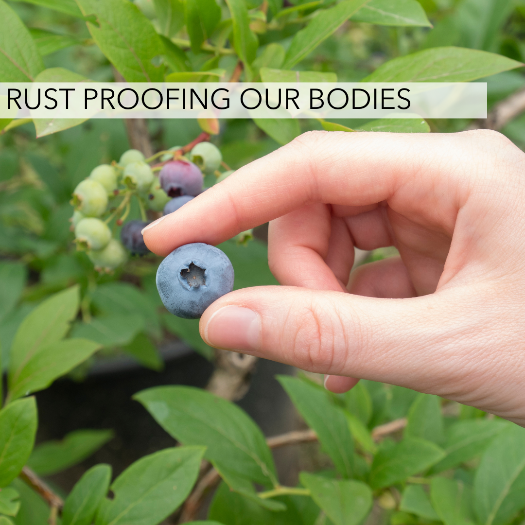 Rust-Proofing Our Bodies: Tips for Long-Lasting Health – One Organic ...